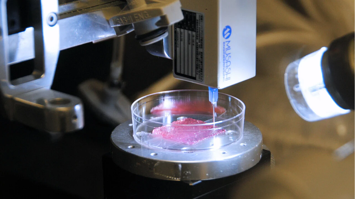 Inside a 3D Cell Culture Lab: Setup, Costs, and Essential Equipment